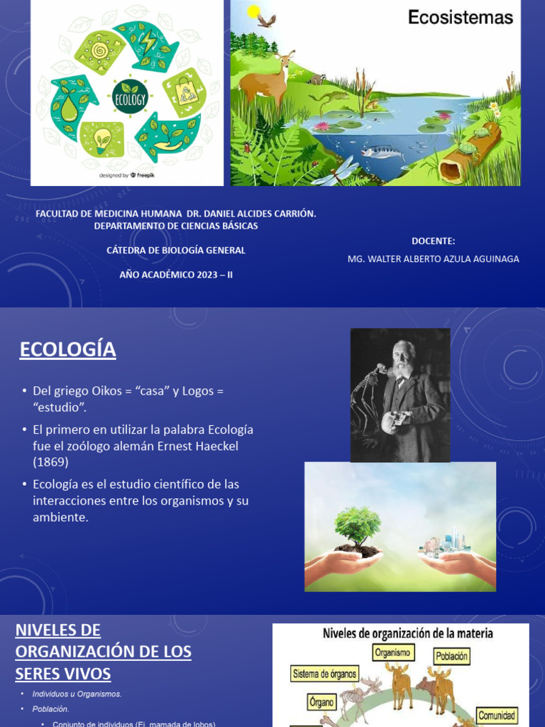 Ecologia - Ecosistemas | PDF | Ecología | Red alimentaria