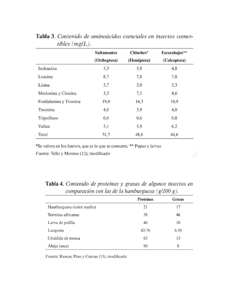 Tabla de Insectos y Plantas Comestibles TAM | PDF
