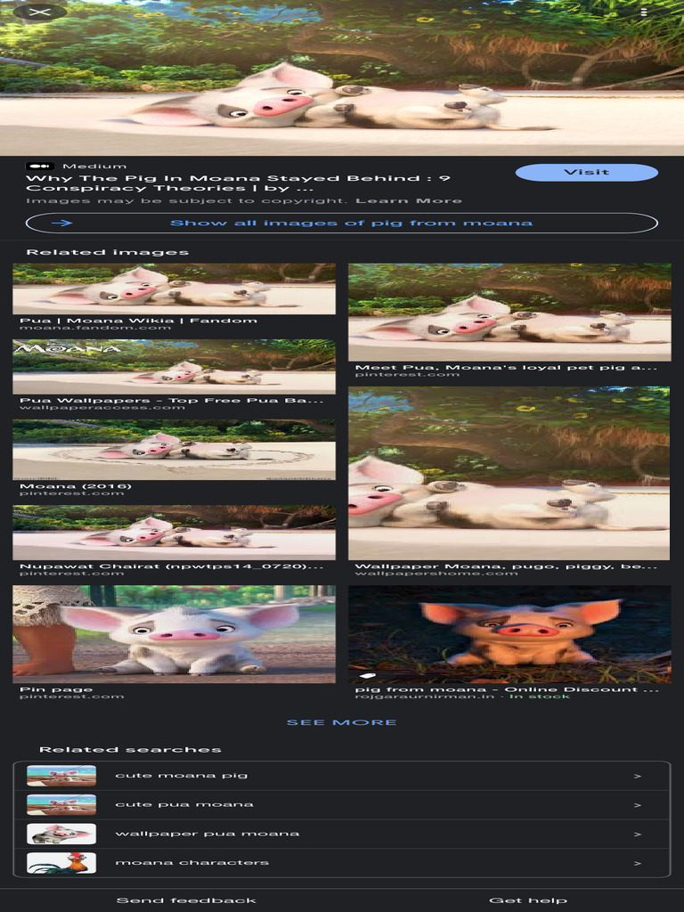 Pig From Moana - Google Search | PDF