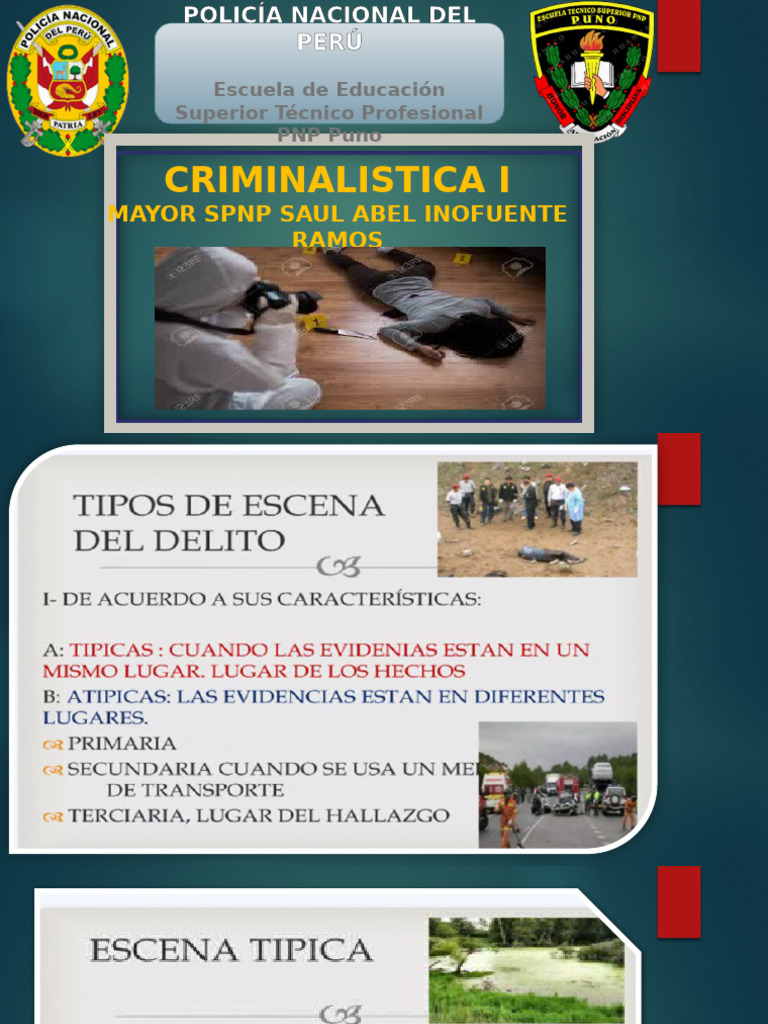 Septima Semana Criminalistica | PDF