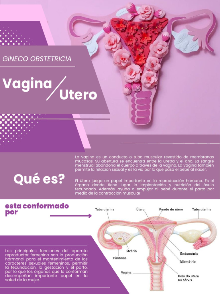 Vagina y útero | PDF