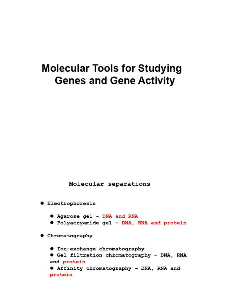 Molecular Tools For Studying Genes and Gene Activity | PDF | Gel ...