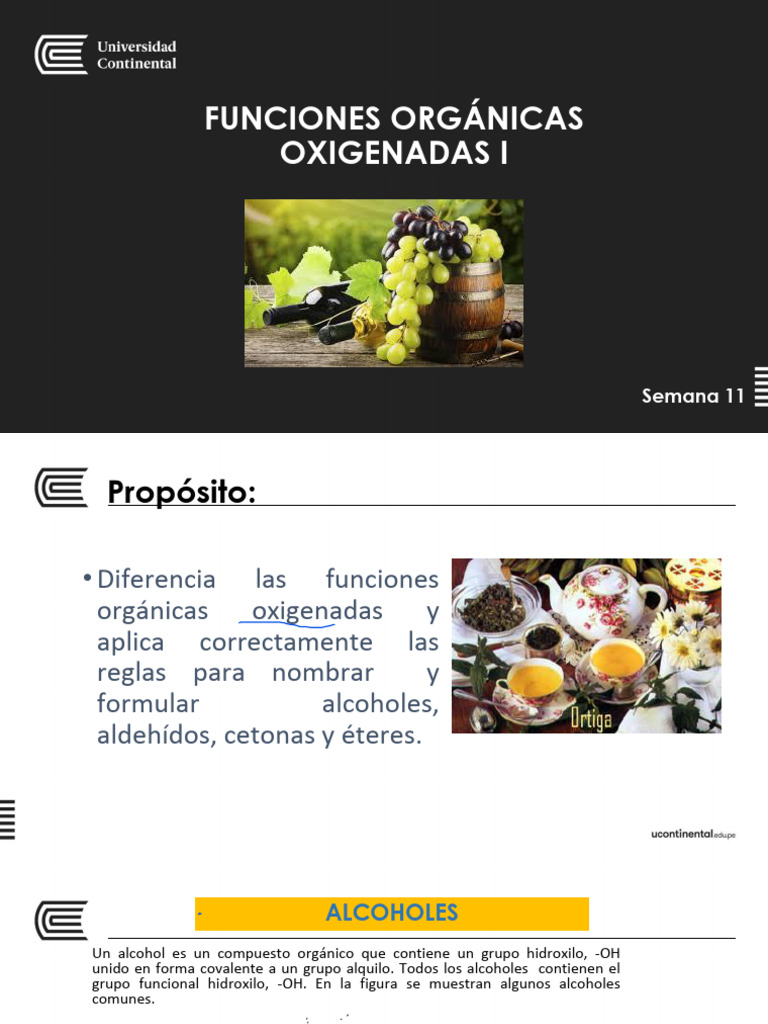 Clase 27 Junio 1 SEMANA #11 OXIGENADAS 1 | PDF | Cetona | Aldehído
