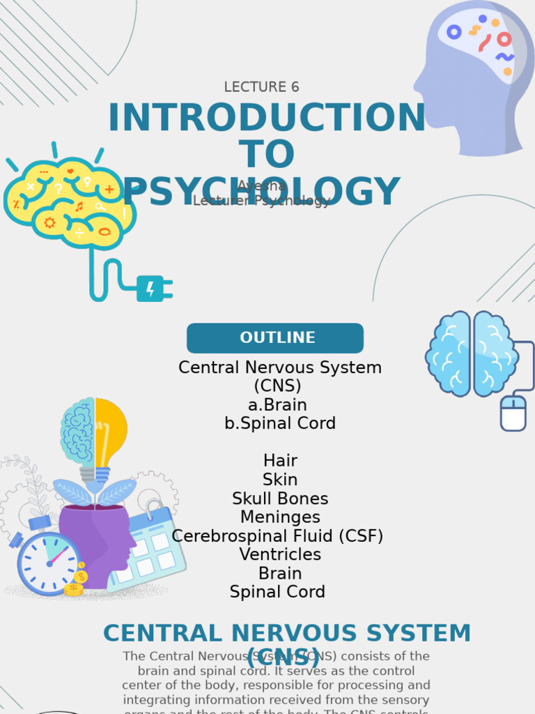 Lecture 6 Intro To Psychology CNS | PDF | Cerebrospinal Fluid | Spinal Cord
