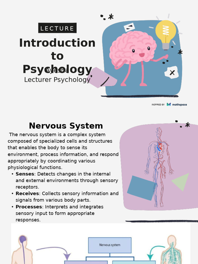 Lecture 5 Intro To Psychology PNS | PDF | Nervous System | Autonomic ...