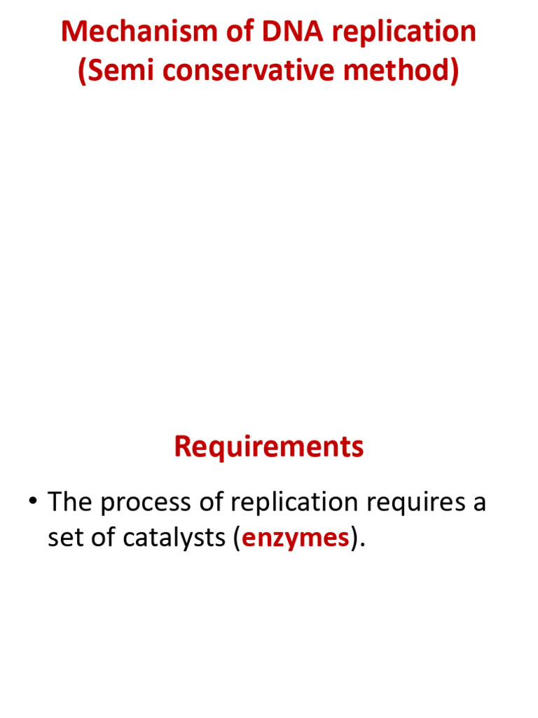 DNA Replication-Process | PDF | Dna Replication | Dna
