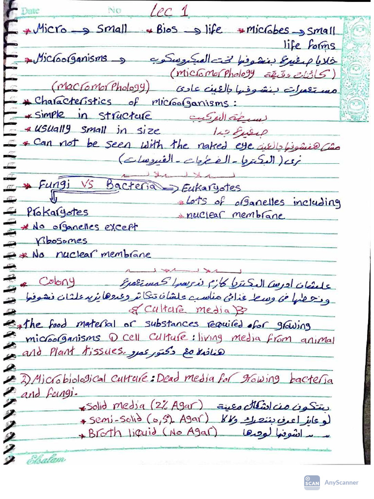 Lec 1 Micro by Kenzy Saad ? | PDF