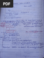 Maternal Pelvic Diameters and Fetopelvic Relationship | PDF | Pelvis ...