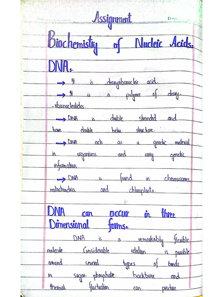 Biochemistry of Nucleic Acids Notes | PDF