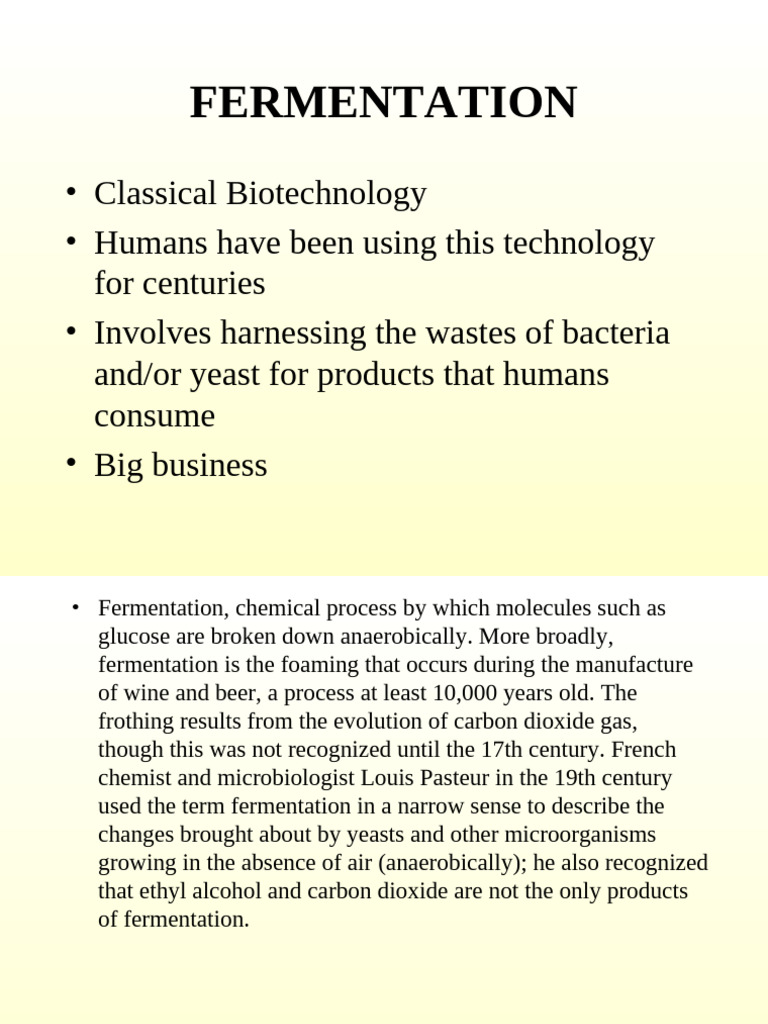 Fermentation-Biotech Saniya | PDF | Cellular Respiration | Fermentation