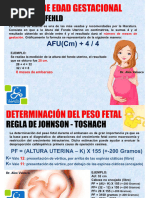 Curva de Scammon | PDF | Estilo de vida