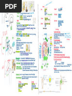 Knee Examination OSCE Checklist Geeky Medics | PDF | Knee | Joints