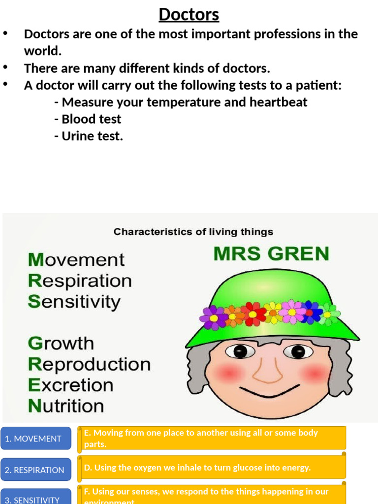 Year 7 Biology Revision Notes | PDF | Human Body | Fuels