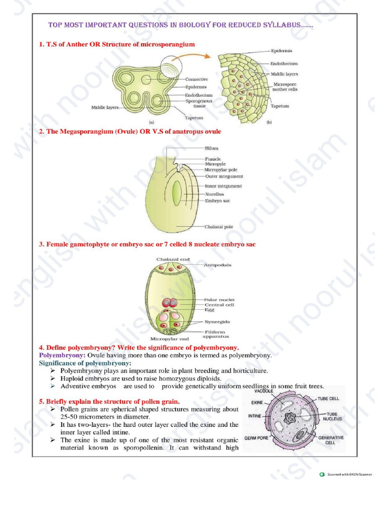 2puc bio diagrams | PDF