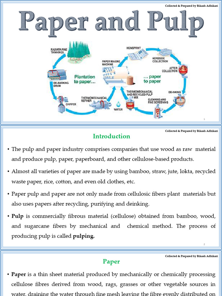 Class 12 AC Paper and Pulp Complete | PDF | Pulp (Paper) | Paper