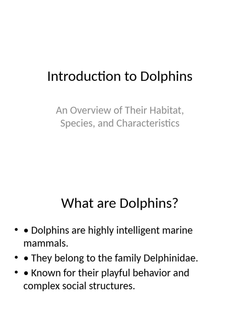 Introduction To Dolphins | PDF