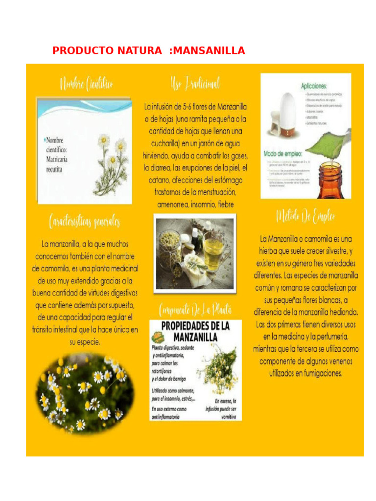 Documento (1) (2) | PDF