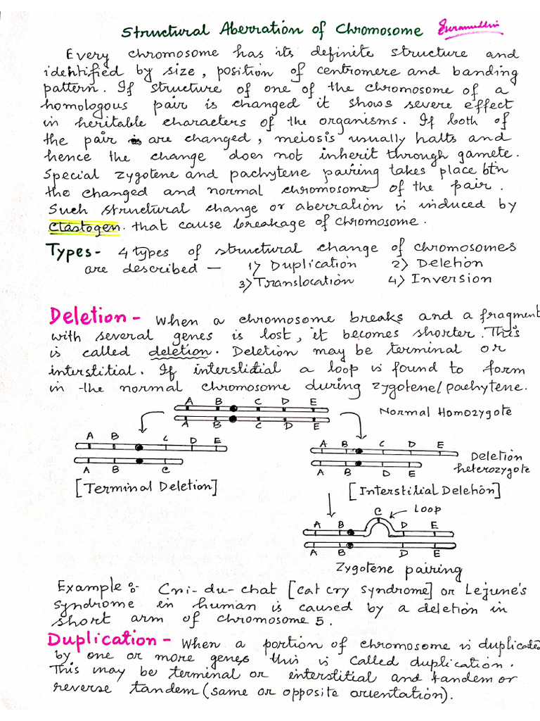Chromosomal mutation | PDF