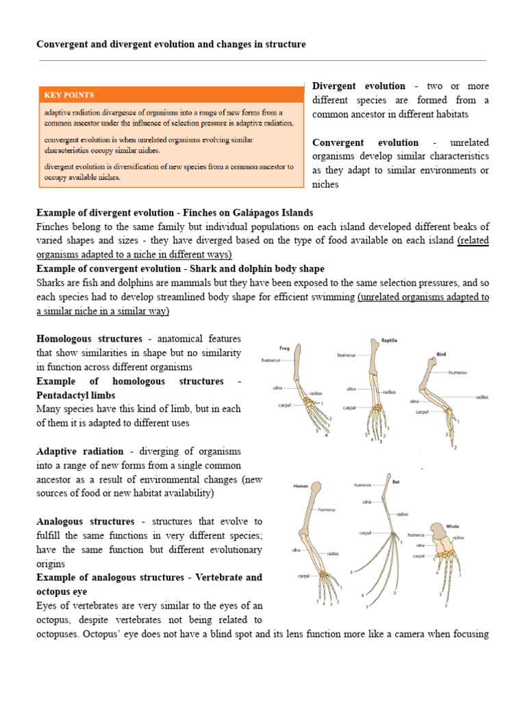 Convergent and Divergent Evolution and Changes in Structure | PDF