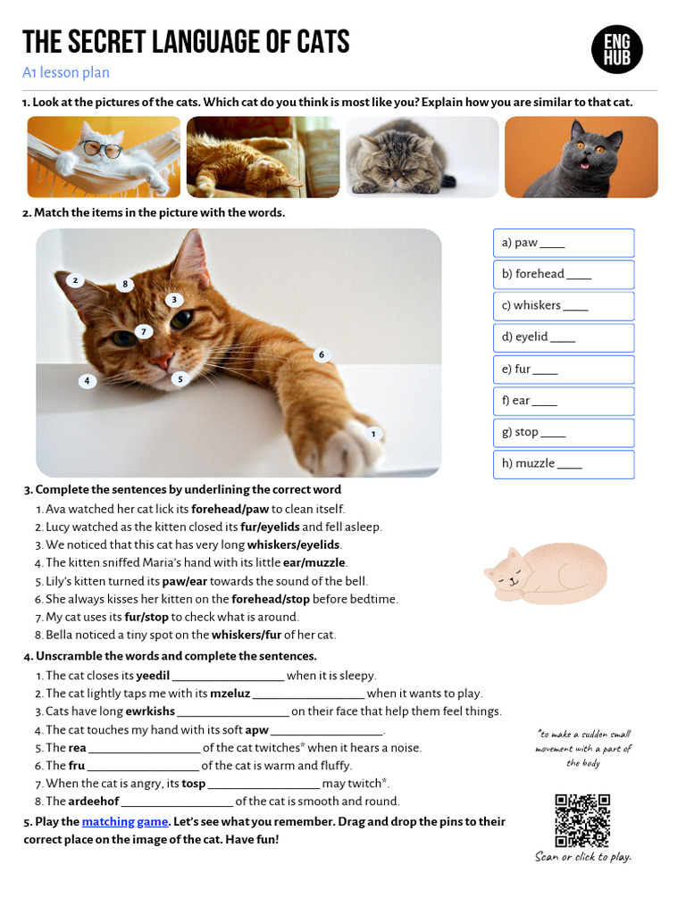 A1 The Secret Language of Cats A4 Worksheet SV | PDF | Cats | Cat Breeds