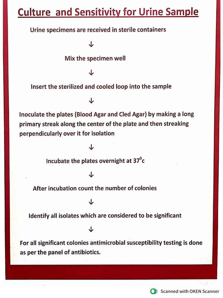 sample processing in microbiology | PDF