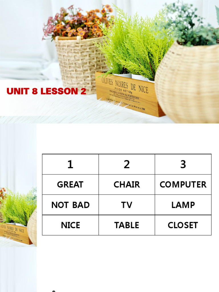 Unit 8 Lesson 2 | PDF