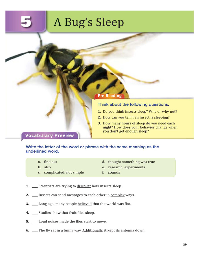 UNIT 4.1 - Reading - Homework | PDF