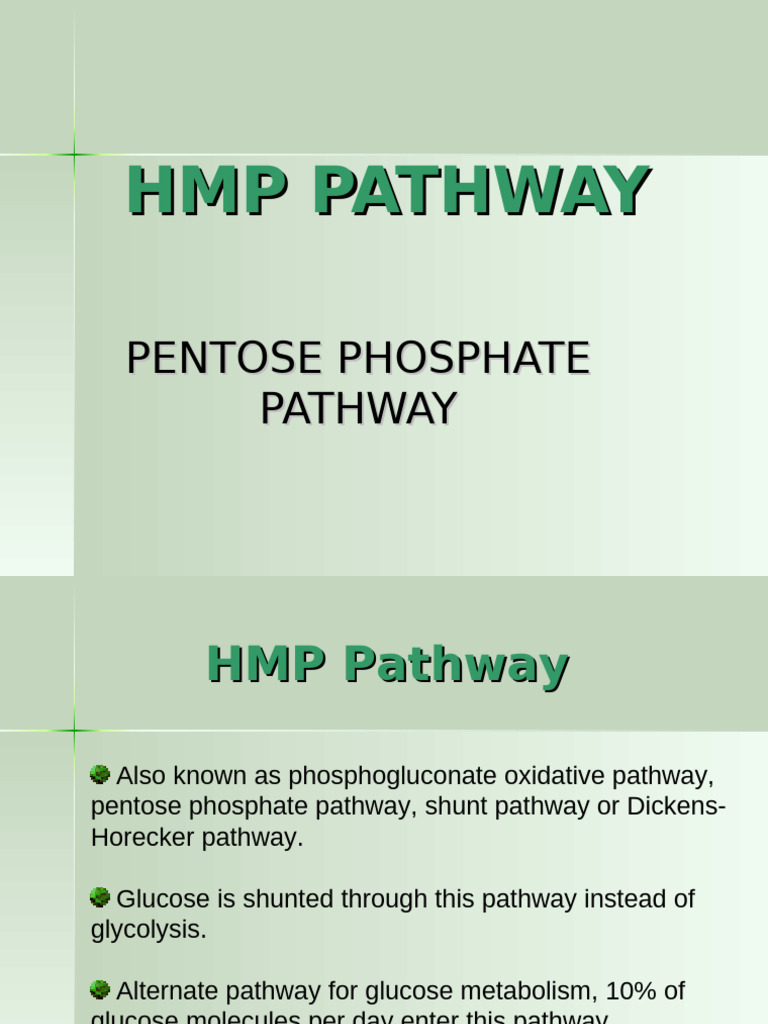 HMP Shunt Pathway | PDF | Nicotinamide Adenine Dinucleotide Phosphate ...