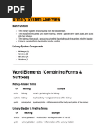 Urology Medical Terminology Guide | PDF | Urinary System | Kidney