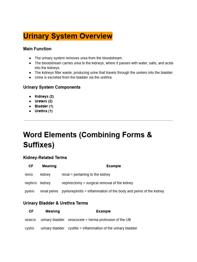 Transes For 3rd Long Quiz | PDF | Urinary System | Kidney