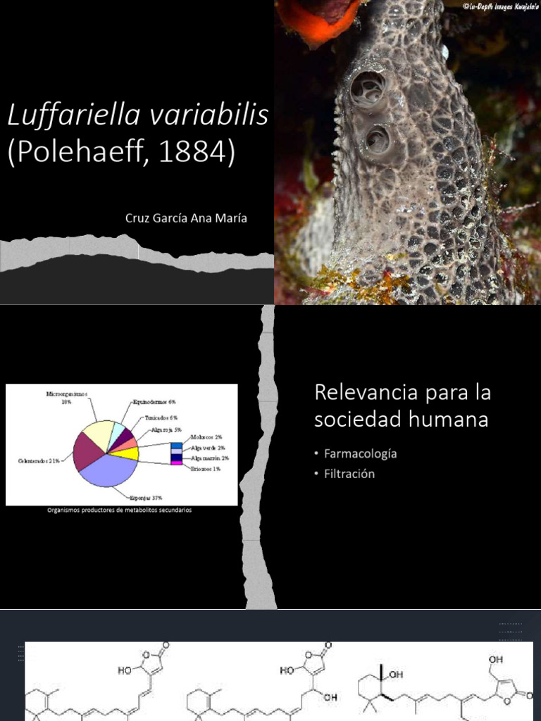 Exposición L. variabilis PDF-Cruz García | PDF | Biología ...