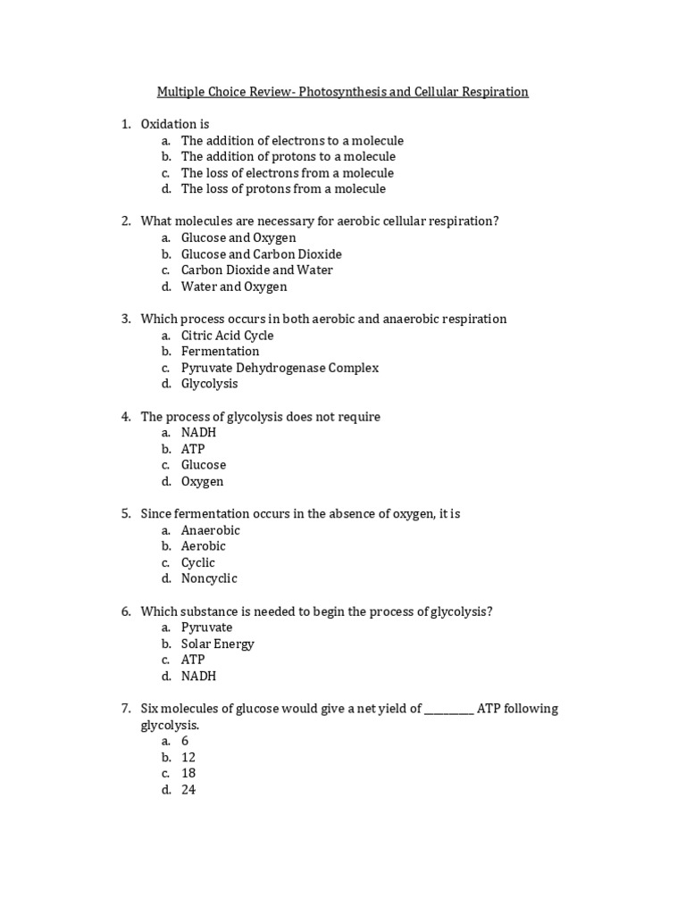 MC Glycolysis-Respiration-Photo NO RISP | PDF | Cellular Respiration ...