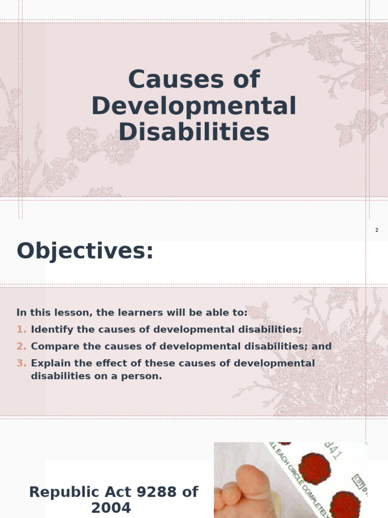 Causes of Developmental Disabilities | PDF | Childbirth | Prenatal ...