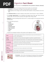 Digestive System GIZMO | PDF | Digestion | Small Intestine
