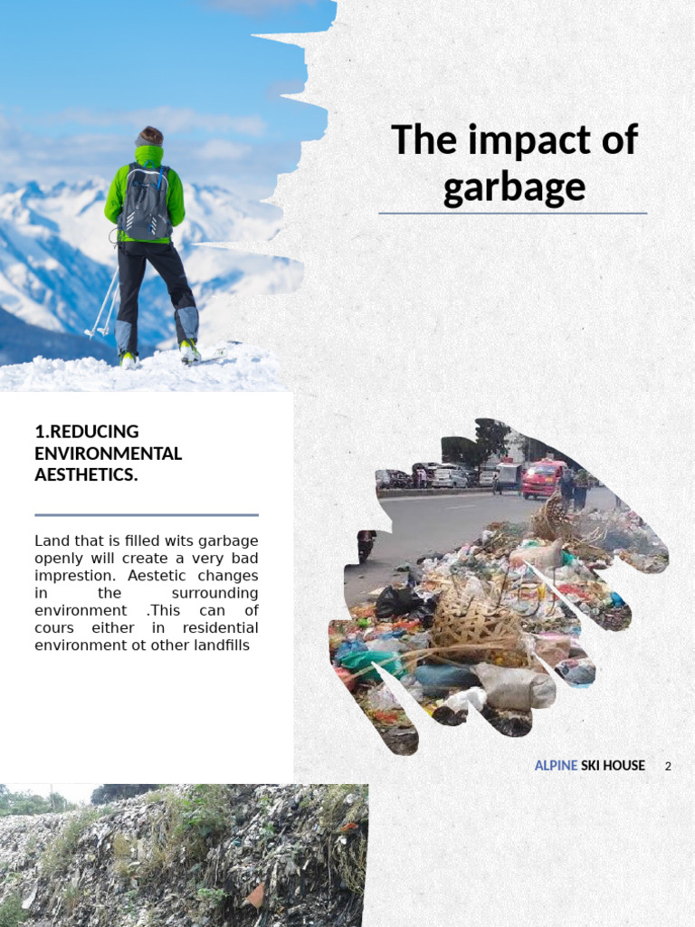 The Impact of Garbage | PDF