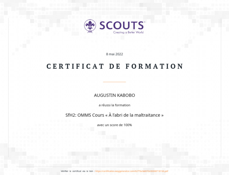 Certificat de formation SfH2: OMMS | PDF