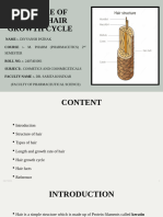 Understanding Hair Colorimetry | PDF | Color | Hair