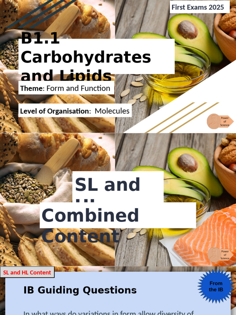 Carbohydrate and Lipid Diversity in Function | PDF | Triglyceride ...