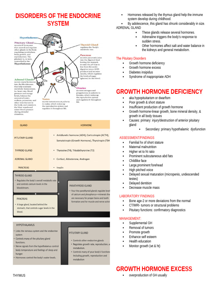 Disorders of The Endocrine System Notes | PDF | Adrenal Gland | Growth ...