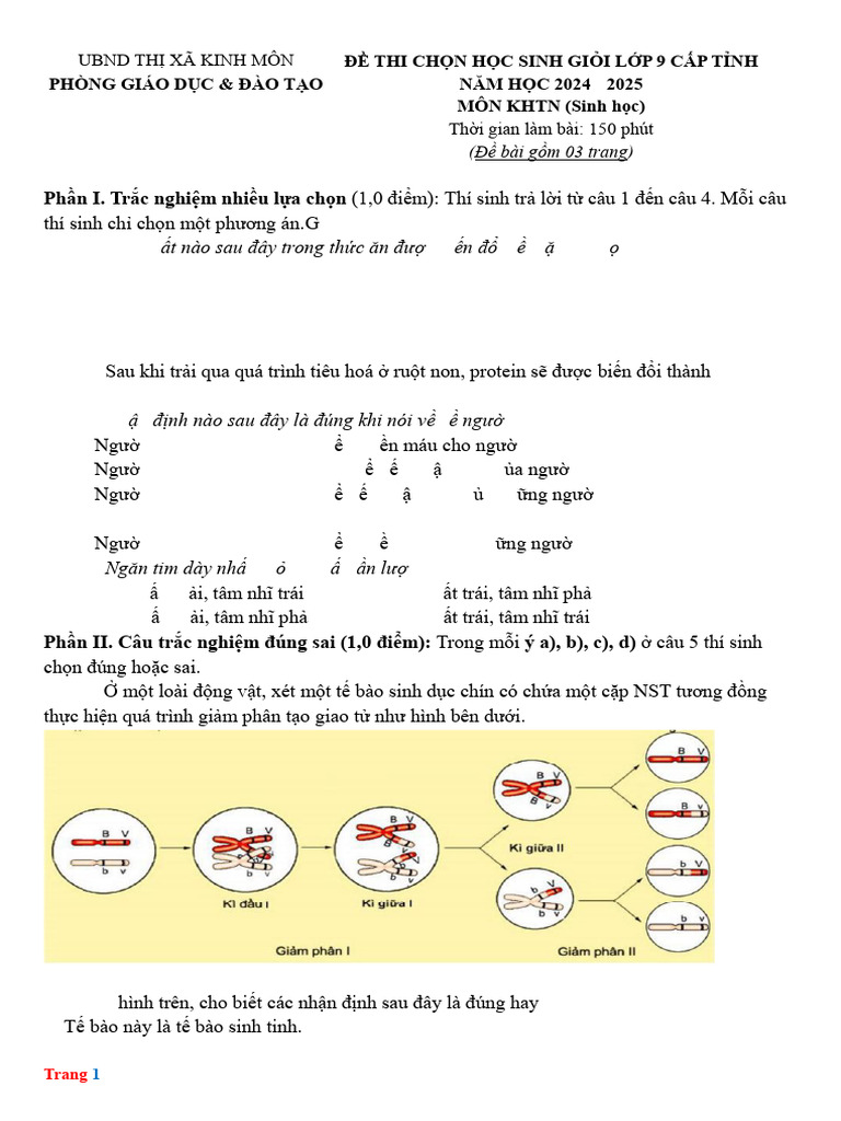 50 de Thi HSG Sinh 9 Nam 24 25 1 3 | PDF