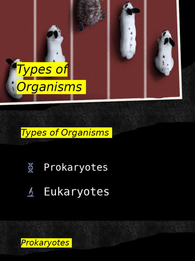 Types of Organisms (SCIENCE) | PDF