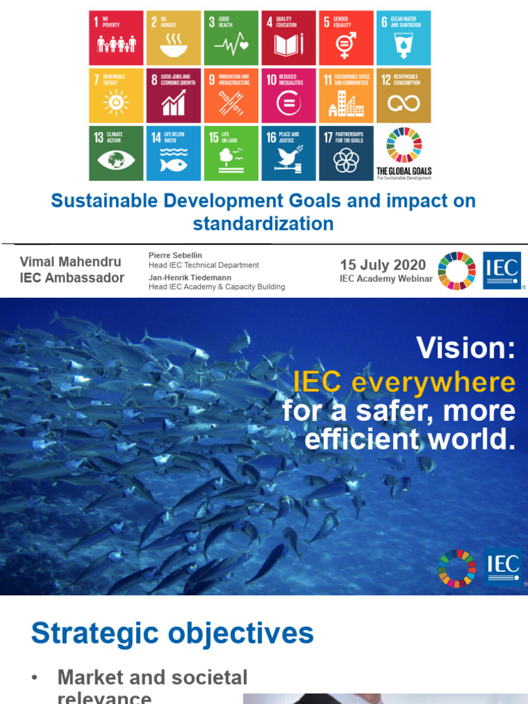 Impact of SDGs on IEC Standardization | PDF | Natural Environment | Environment