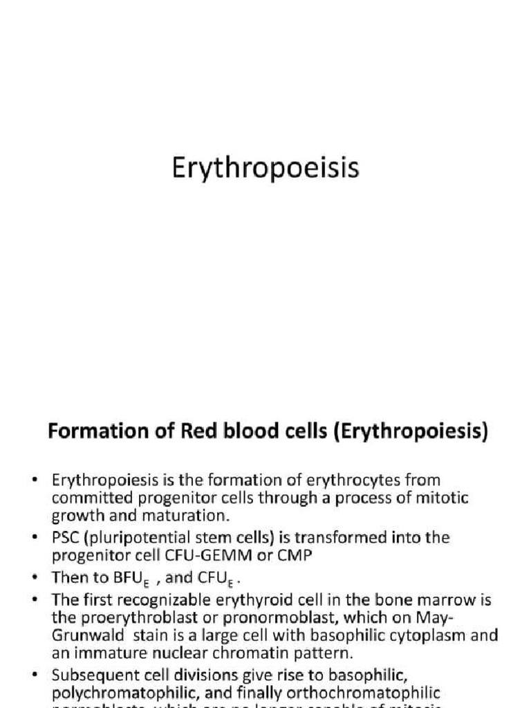Erythropoeisis For BMLT 2nd Sem - Basic Hematology | PDF