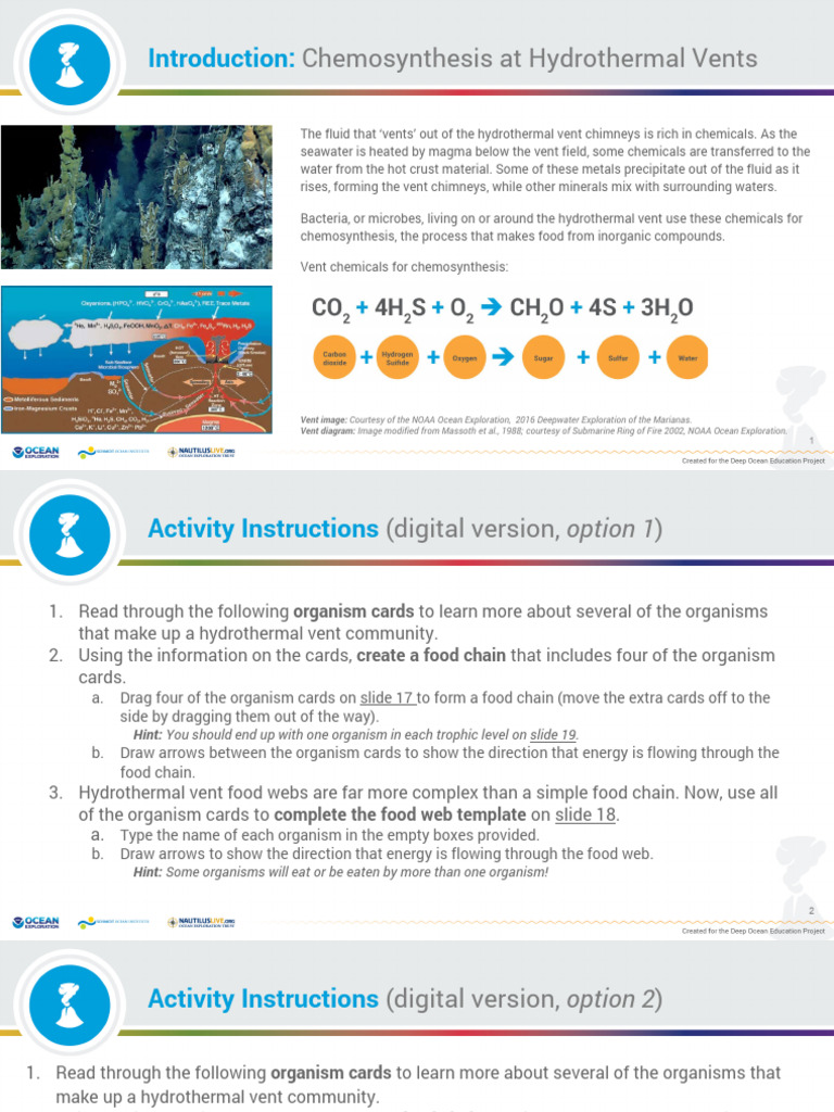 vent-food-web | PDF | Hydrothermal Vent | Biology