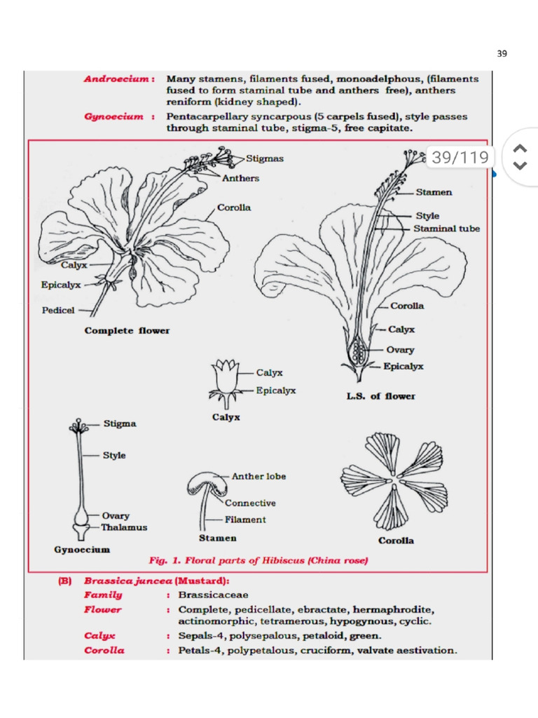 Wa0012. | PDF