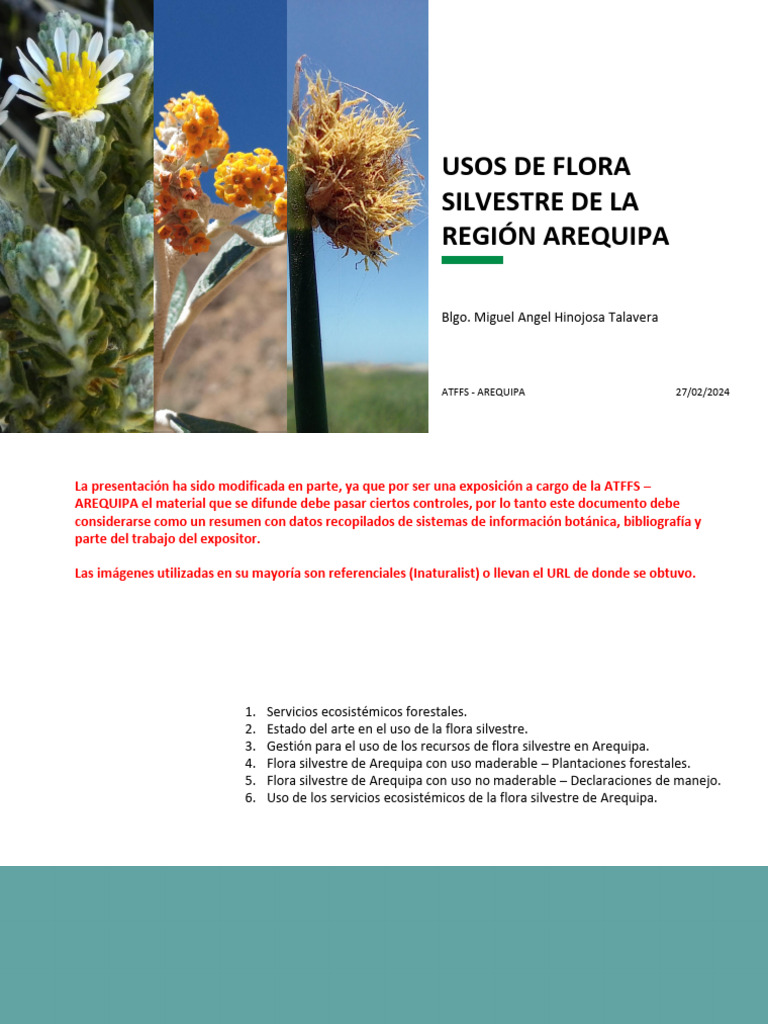 BOTANICA Usos de Flora Silvestre en La Region Arequipa | PDF