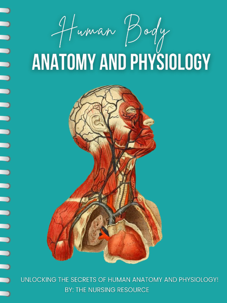 Portrait Digital Anatomy and Physiology Bundle | PDF | Ear ...