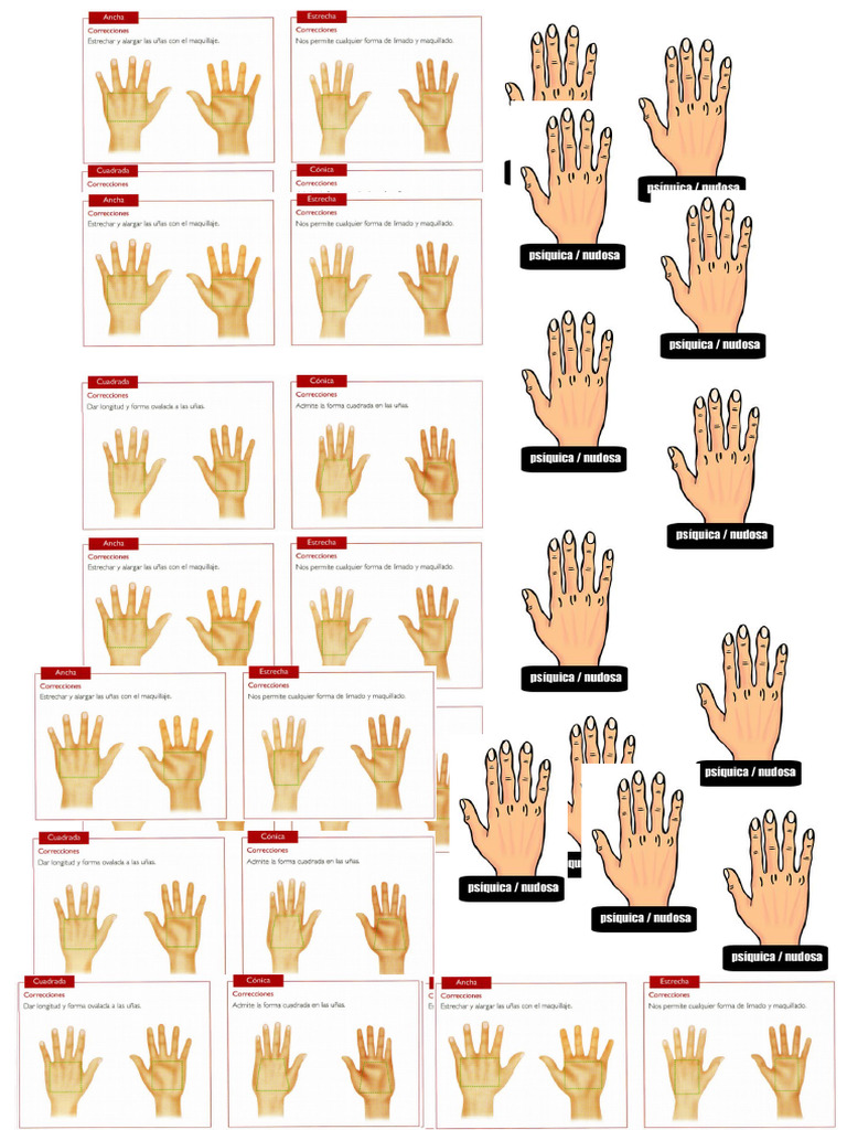 Tipos de Manos 6 - 20.11 | PDF