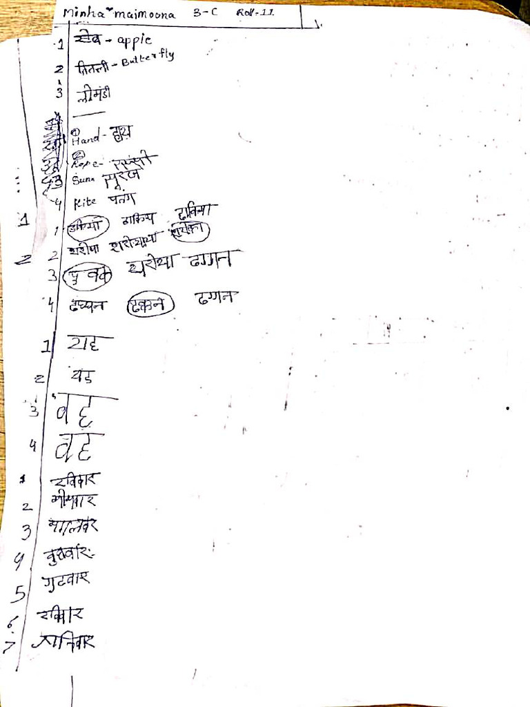 Minha Maimoona Hindi | PDF