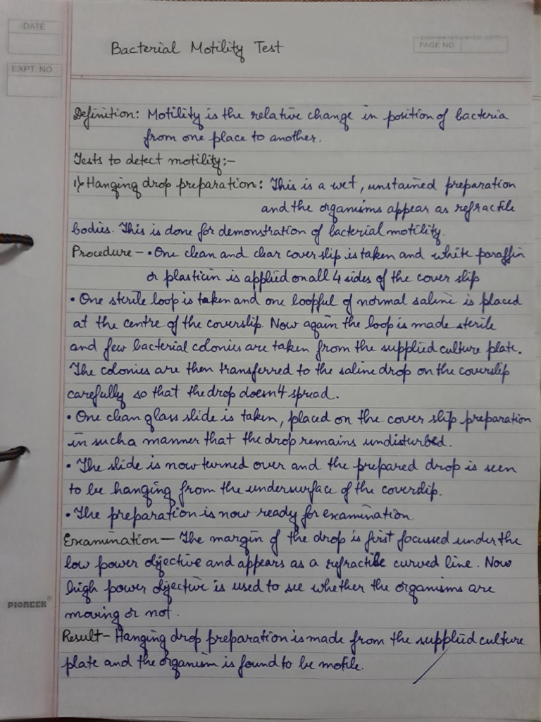 Bacterial Motility Test | PDF